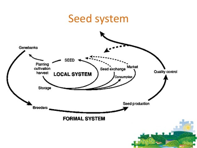Climate-smart seed systems