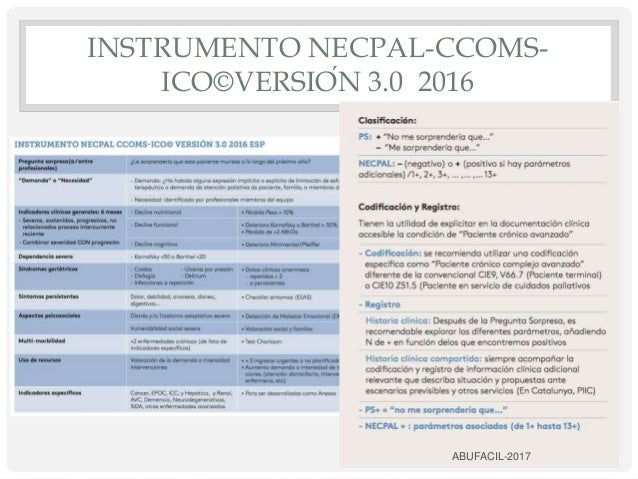 Instrumento NECPAL: Paciente Crónico Complejo