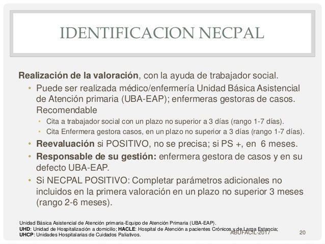 Instrumento NECPAL: Paciente Crónico Complejo