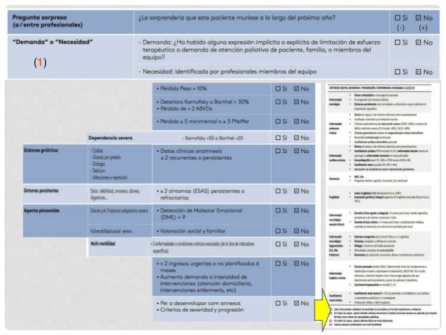 Instrumento NECPAL: Paciente Crónico Complejo