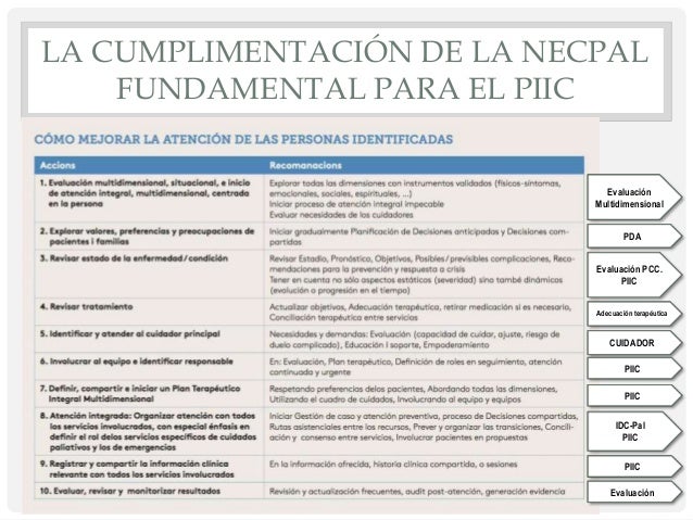 Instrumento NECPAL: Paciente Crónico Complejo
