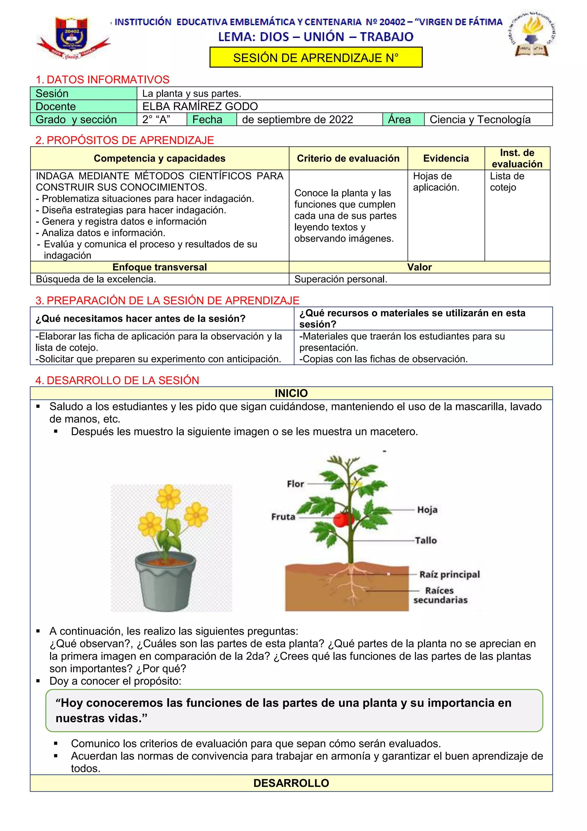 SESION 10 - CyT La planta y sus partes..docx