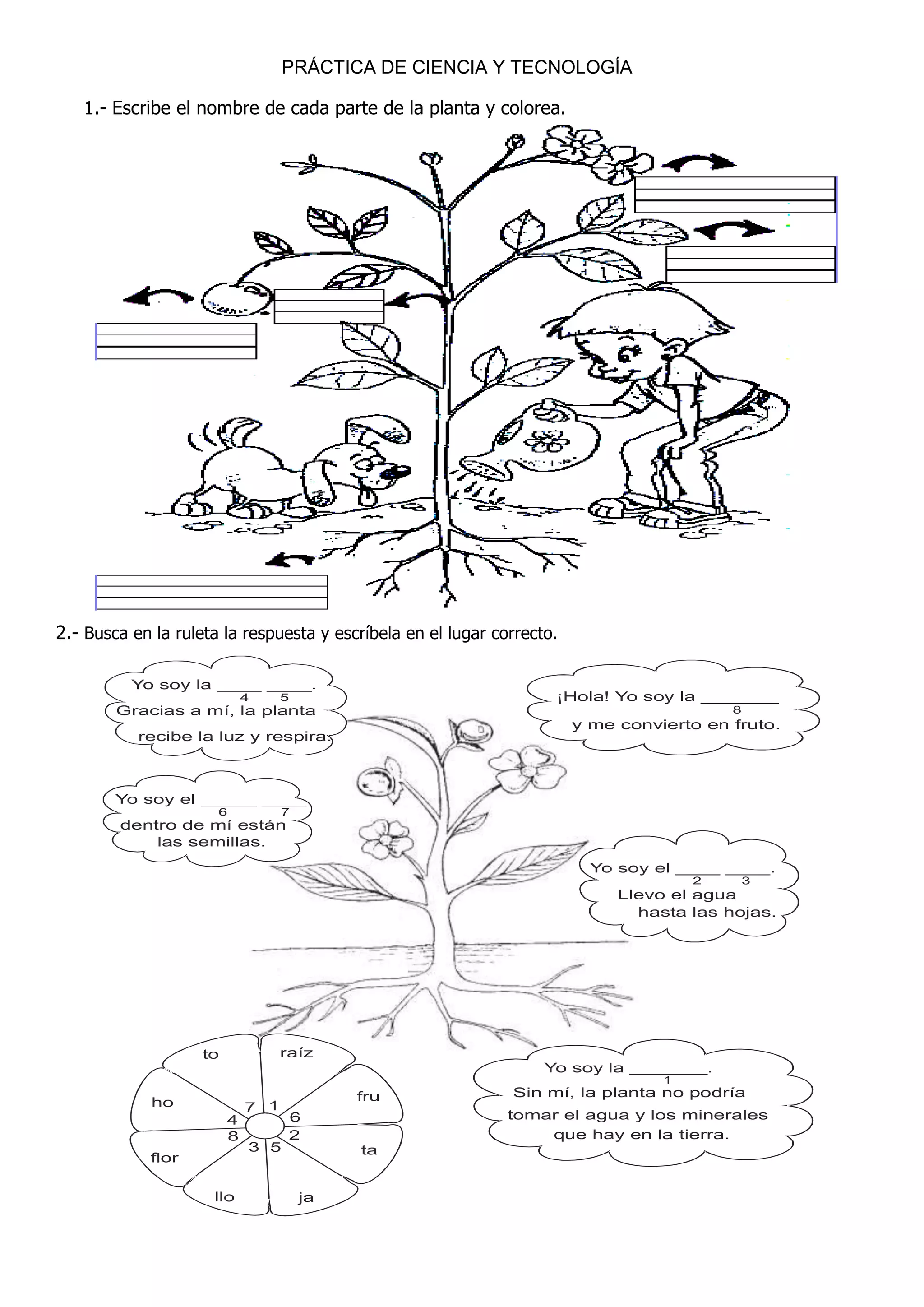 SESION 10 - CyT La planta y sus partes..docx