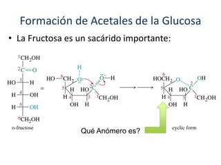 Carbohidratos | PDF