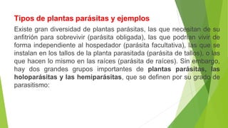 Sesion 14_plantas párasitas ENFERMEDADES ABIOTICAS EN FITOPATOLOGIA | PDF