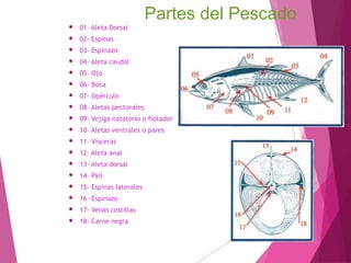 Sesion1 pescados y_mariscos | PPT