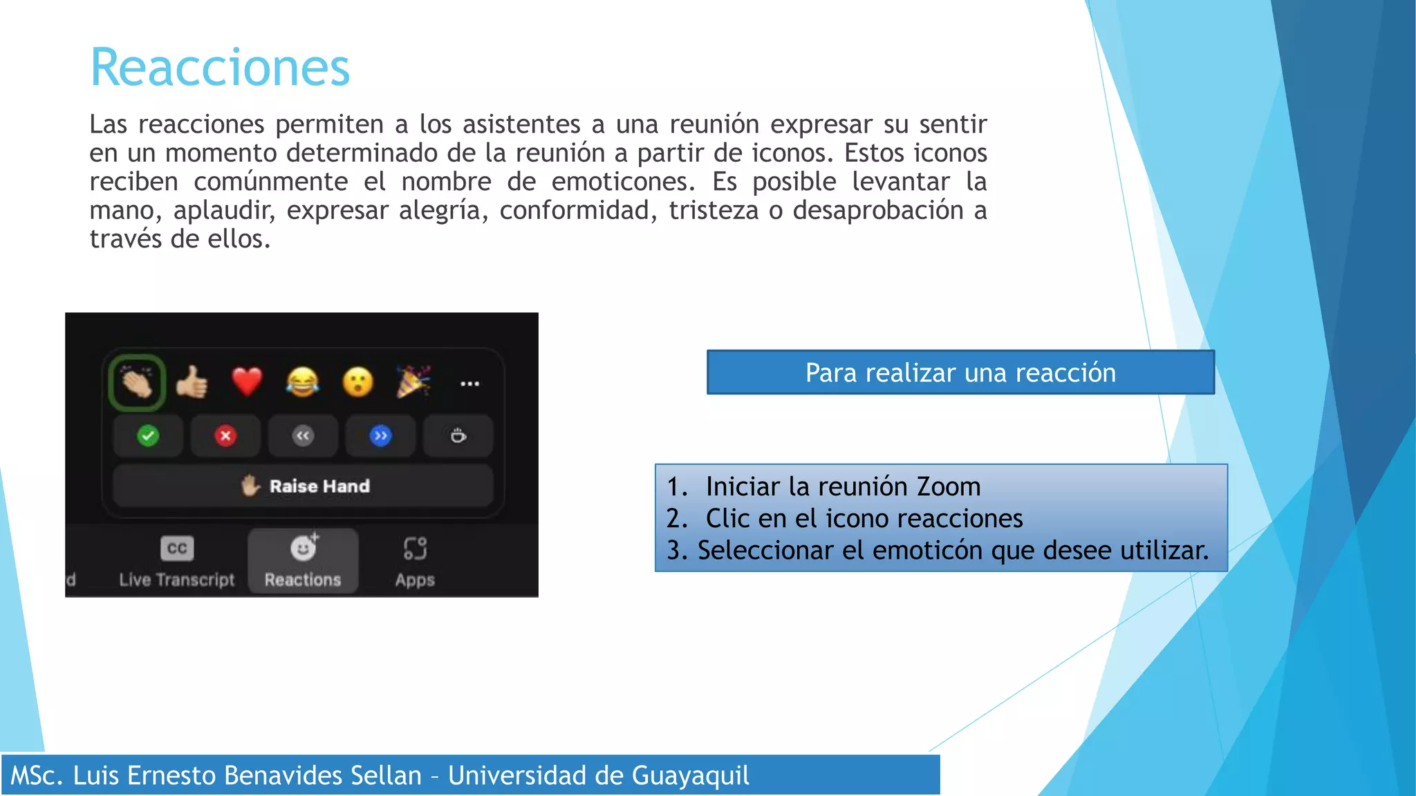 Tutorial Básico Zoom | PDF