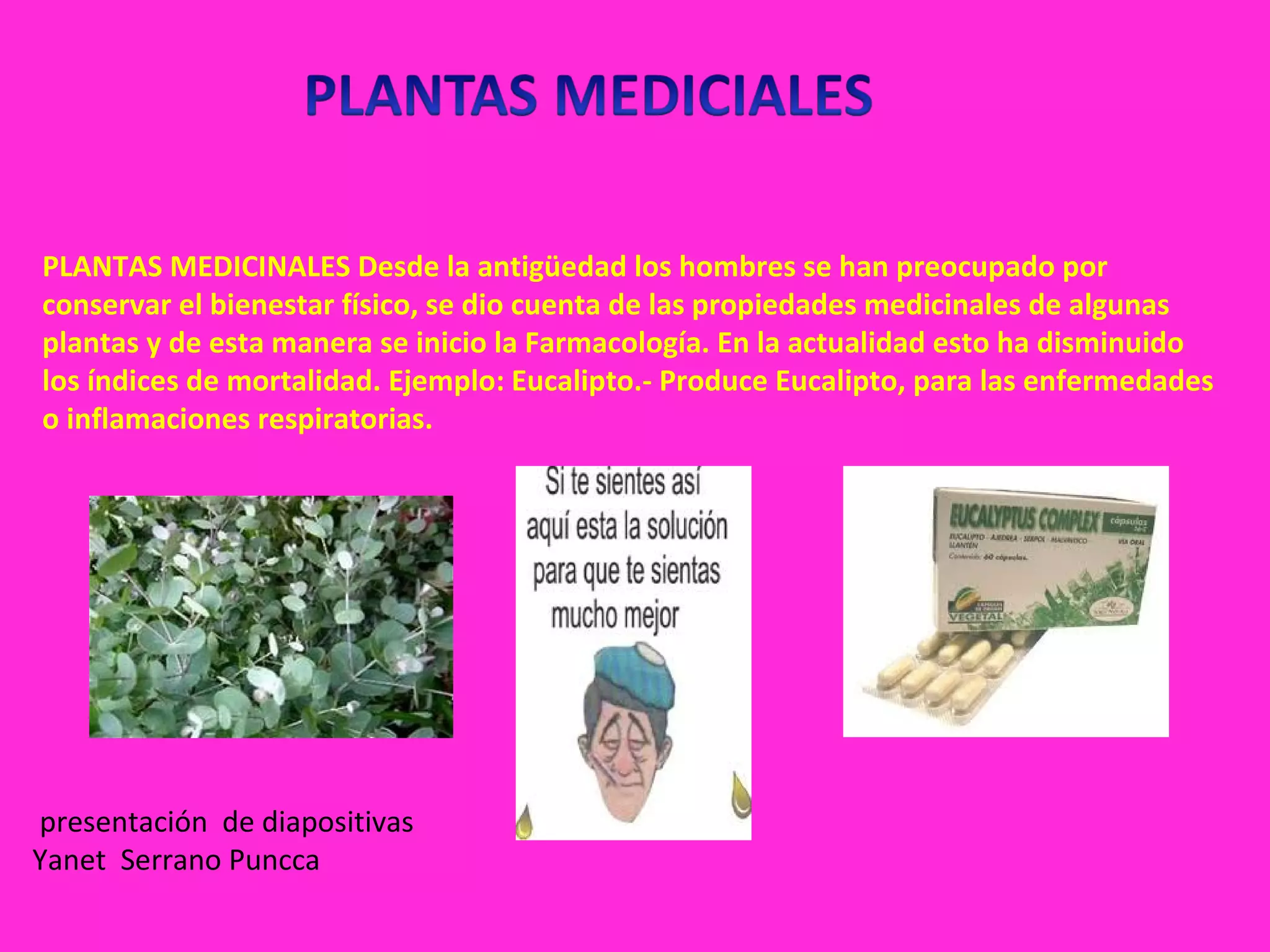 Sesion 2 clasificacion de planta | PPT
