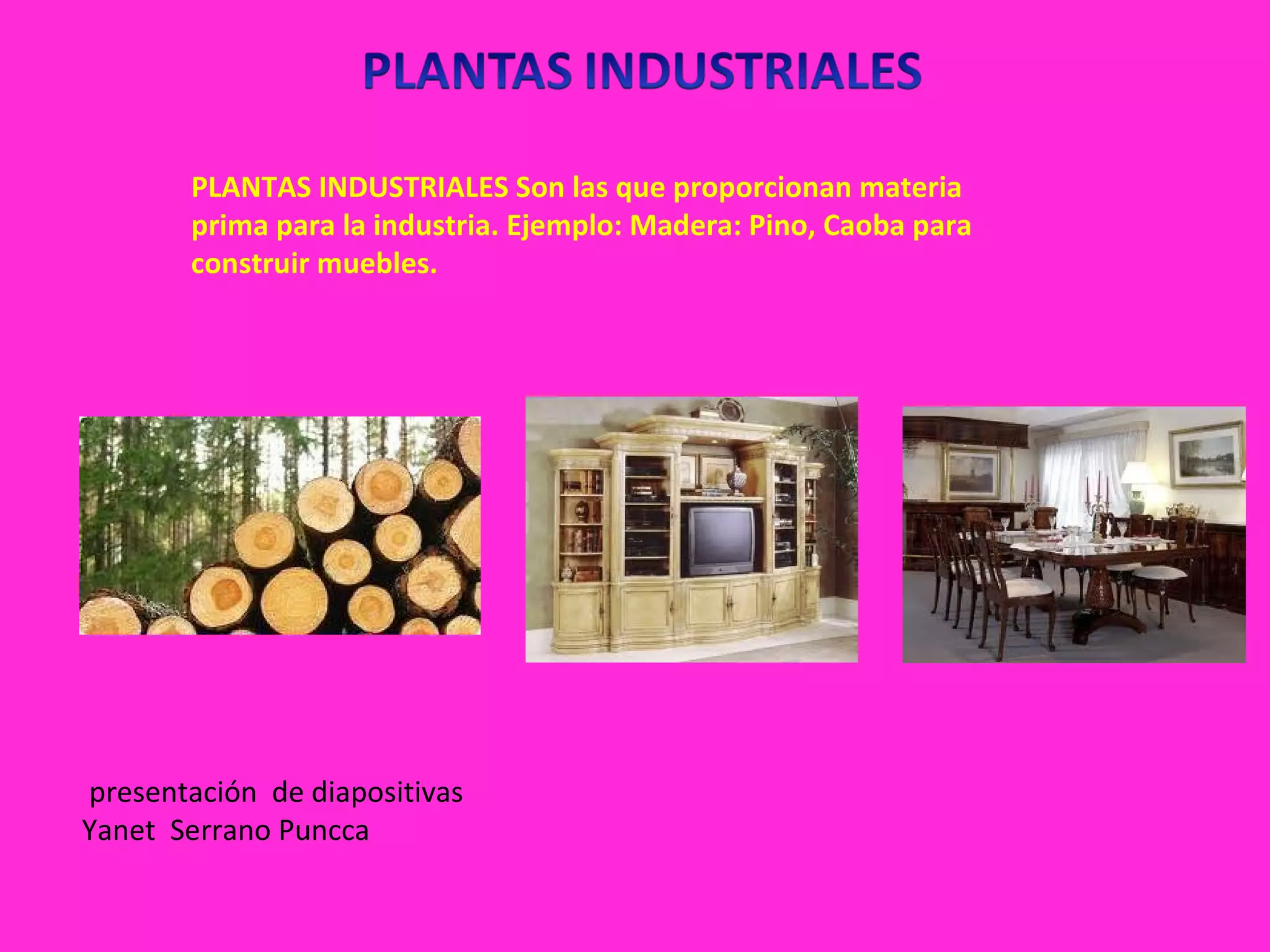 Sesion 2 clasificacion de planta | PPT
