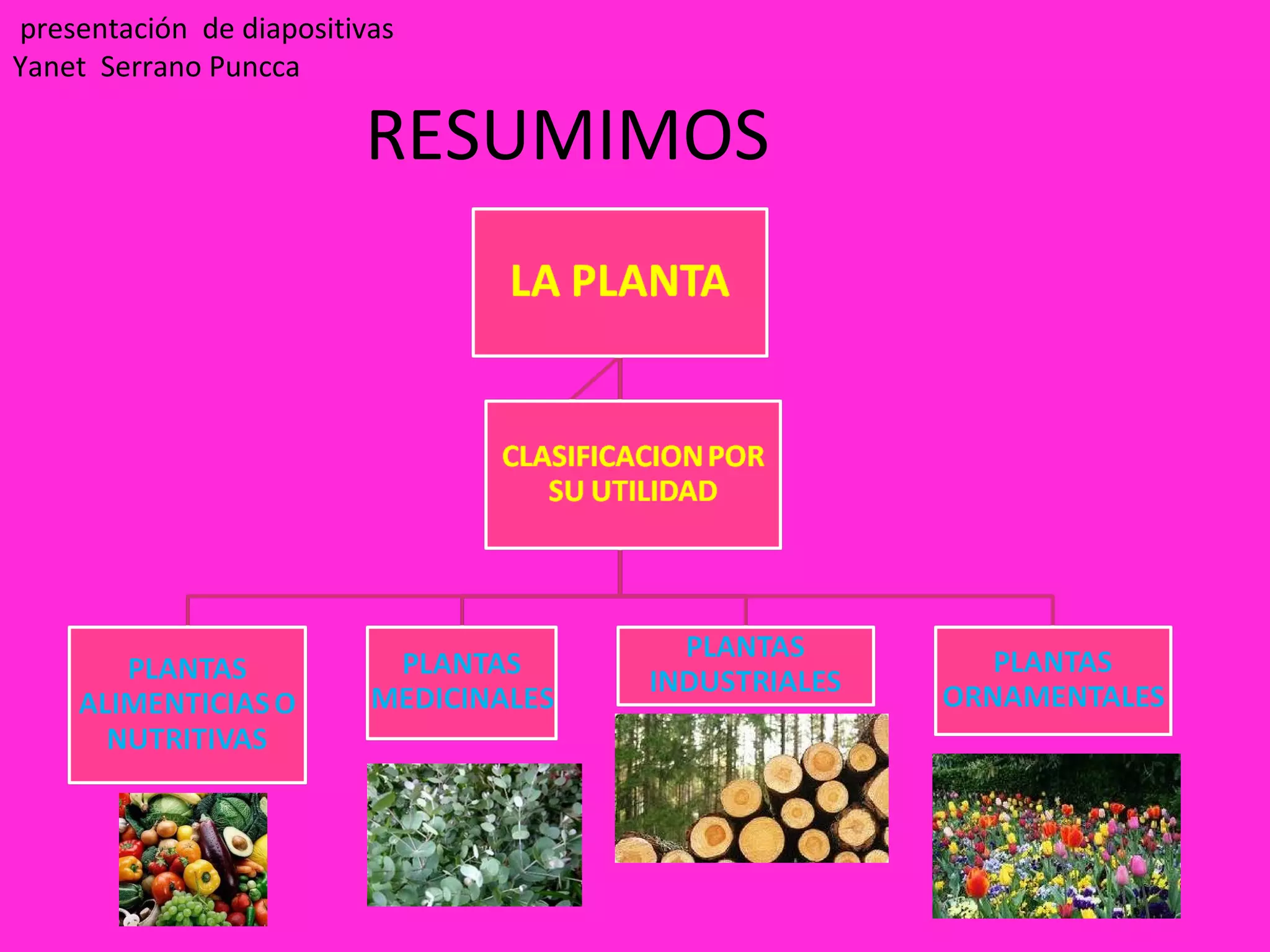 Sesion 2 clasificacion de planta | PPT