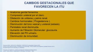 Sesion 36 Infeccion urinaria y gestacion.pptx