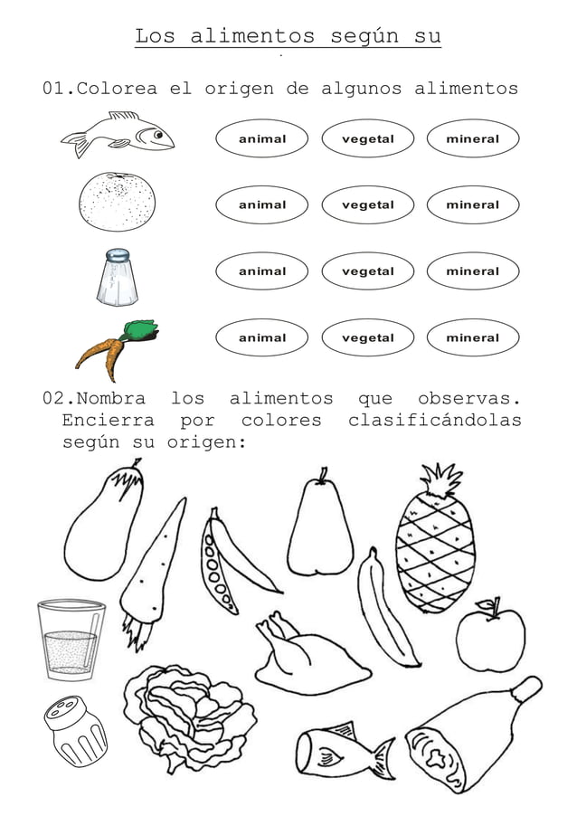 Clasificacion De Los Alimentos Segun Su Origen 2do Grado – Bilarasa