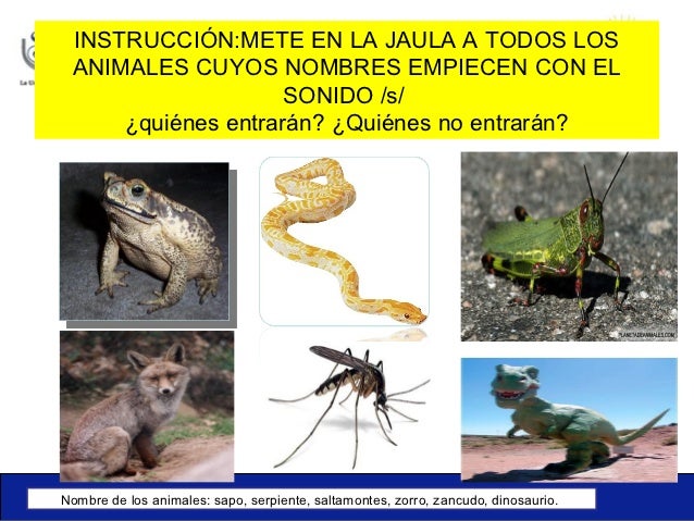 Nombres de animales con s - Imagui