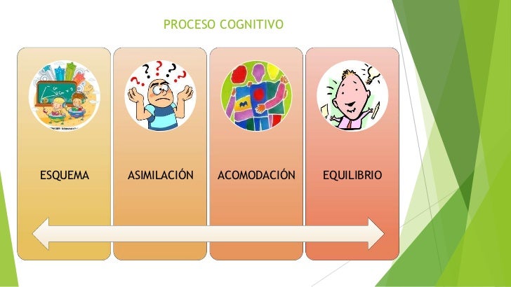 Que Es La Adaptacion Segun Piaget Online | primealture.it