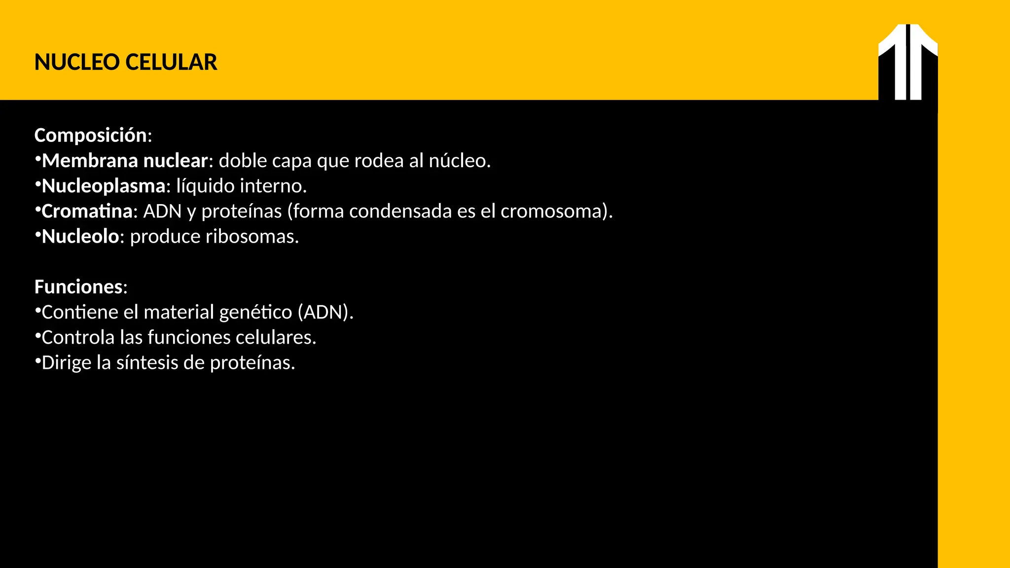 Las células y la estructura celular Todos los seres vivos están ...