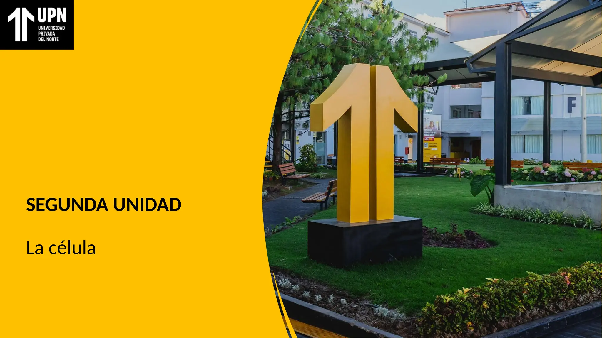 Las células y la estructura celular Todos los seres vivos están ...