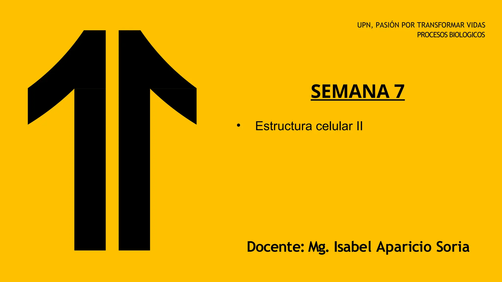 Las células y la estructura celular Todos los seres vivos están ...