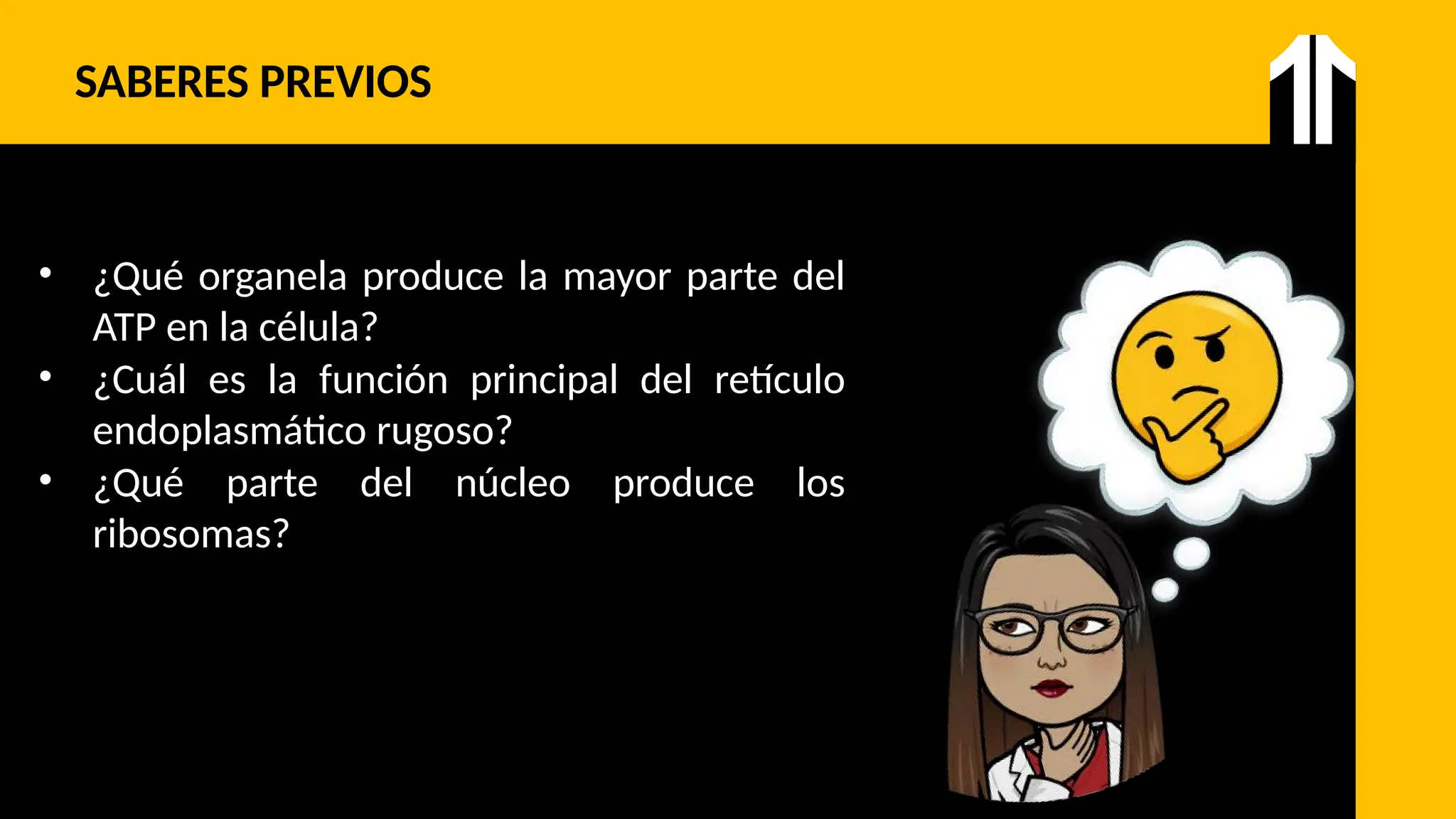 Las células y la estructura celular Todos los seres vivos están ...