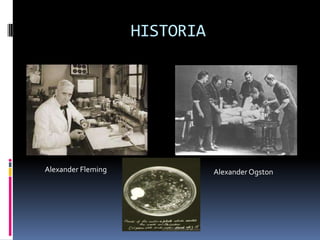 Staphylococcus Aureus | PPTX