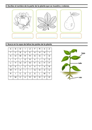 SESION DE CT A LAS PARTES DE LA PLANTA.docx