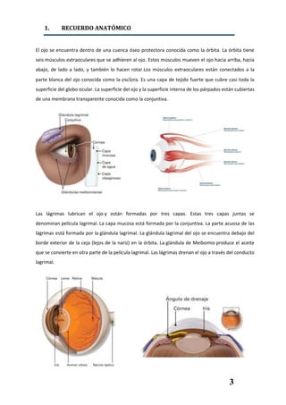 (2024-01-09). OFTALMOLOGÍA BÁSICA EN ATENCIÓN PRIMARIA (DOC) | PDF