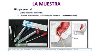 SESION PRÁCTICA 7.pptx