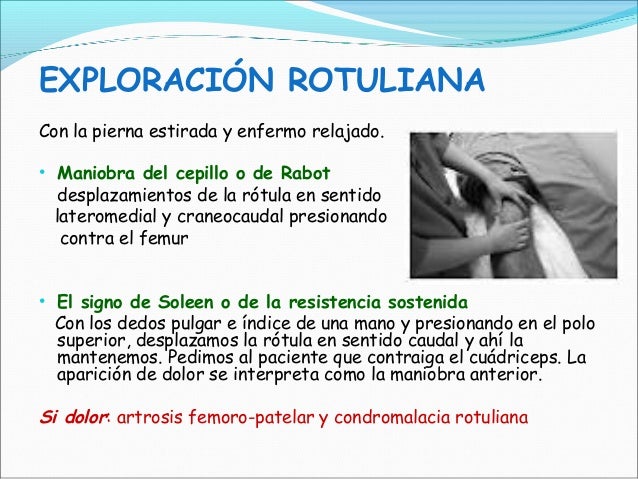 (2014-11-06) Exploración de rodilla (PPT))