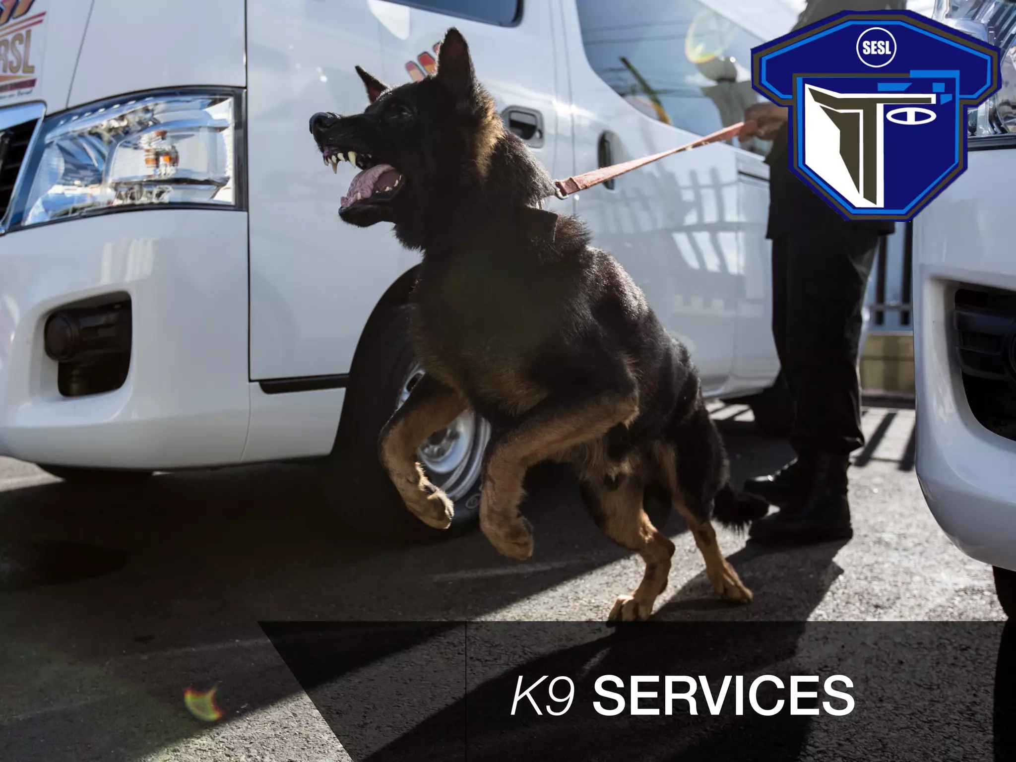 SESL LIMITED Visual Resume | PPT