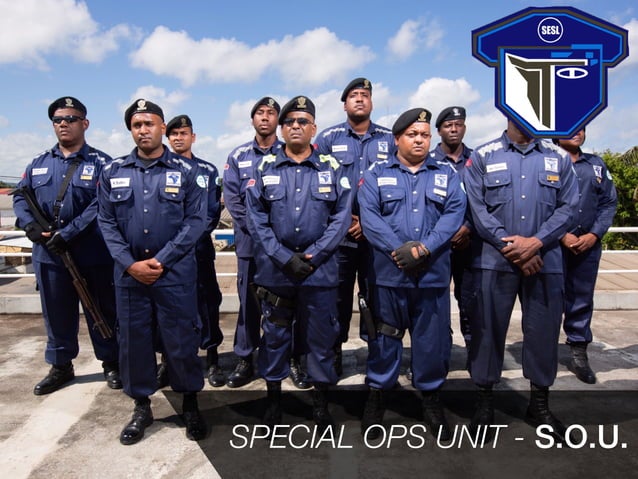 SESL LIMITED Visual Resume | PPT