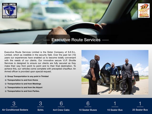 SESL LIMITED Visual Resume | PPT