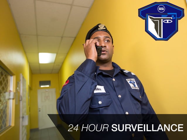 SESL LIMITED Visual Resume | PPT