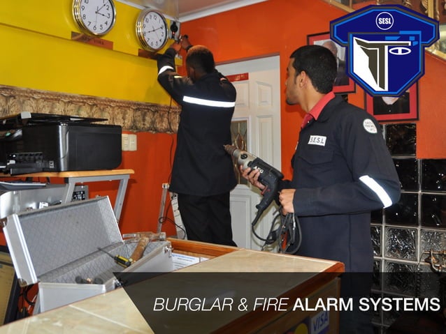 SESL LIMITED Visual Resume | PPT