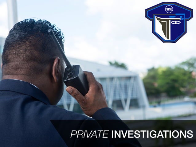 SESL LIMITED Visual Resume | PPT