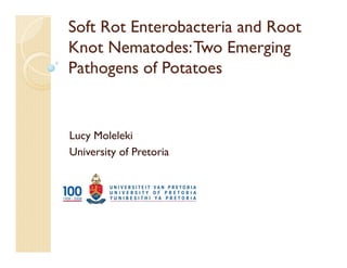 Sess08 7 lucy moleleki soft rot enterobacteria and root knot nematodes ...