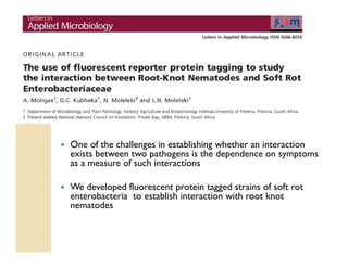 Sess08 7 lucy moleleki soft rot enterobacteria and root knot nematodes ...