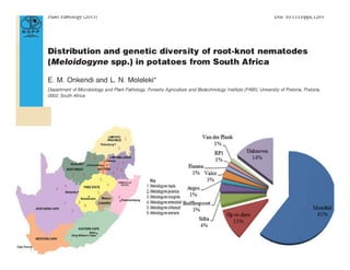 Sess08 7 lucy moleleki soft rot enterobacteria and root knot nematodes ...