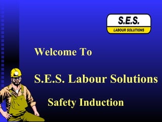 Ses safety induction | PPT | First Aid | Injuries