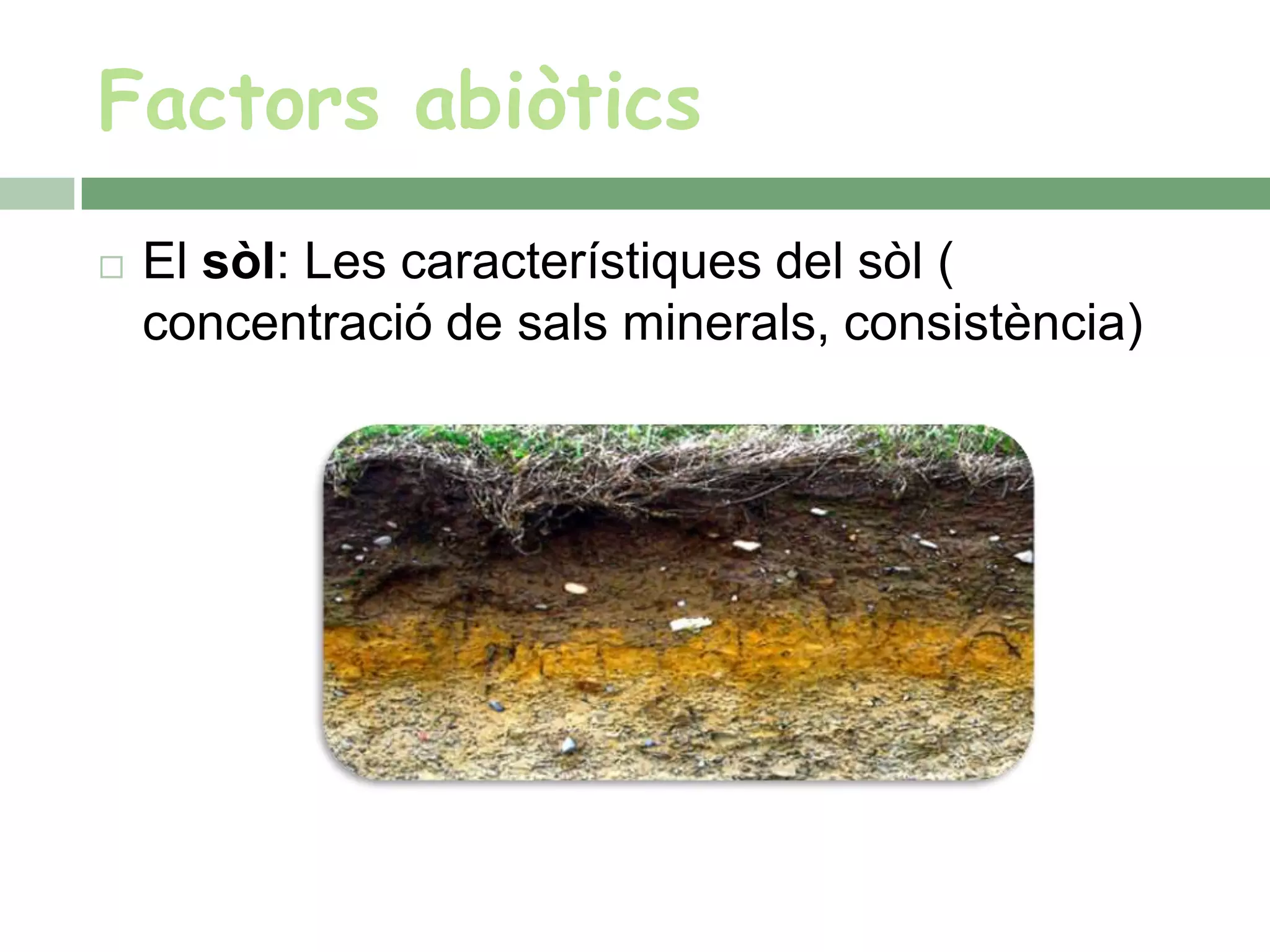 Sessió 5 projecte 2n eso 2012 - natus - presentació ... | PPTX