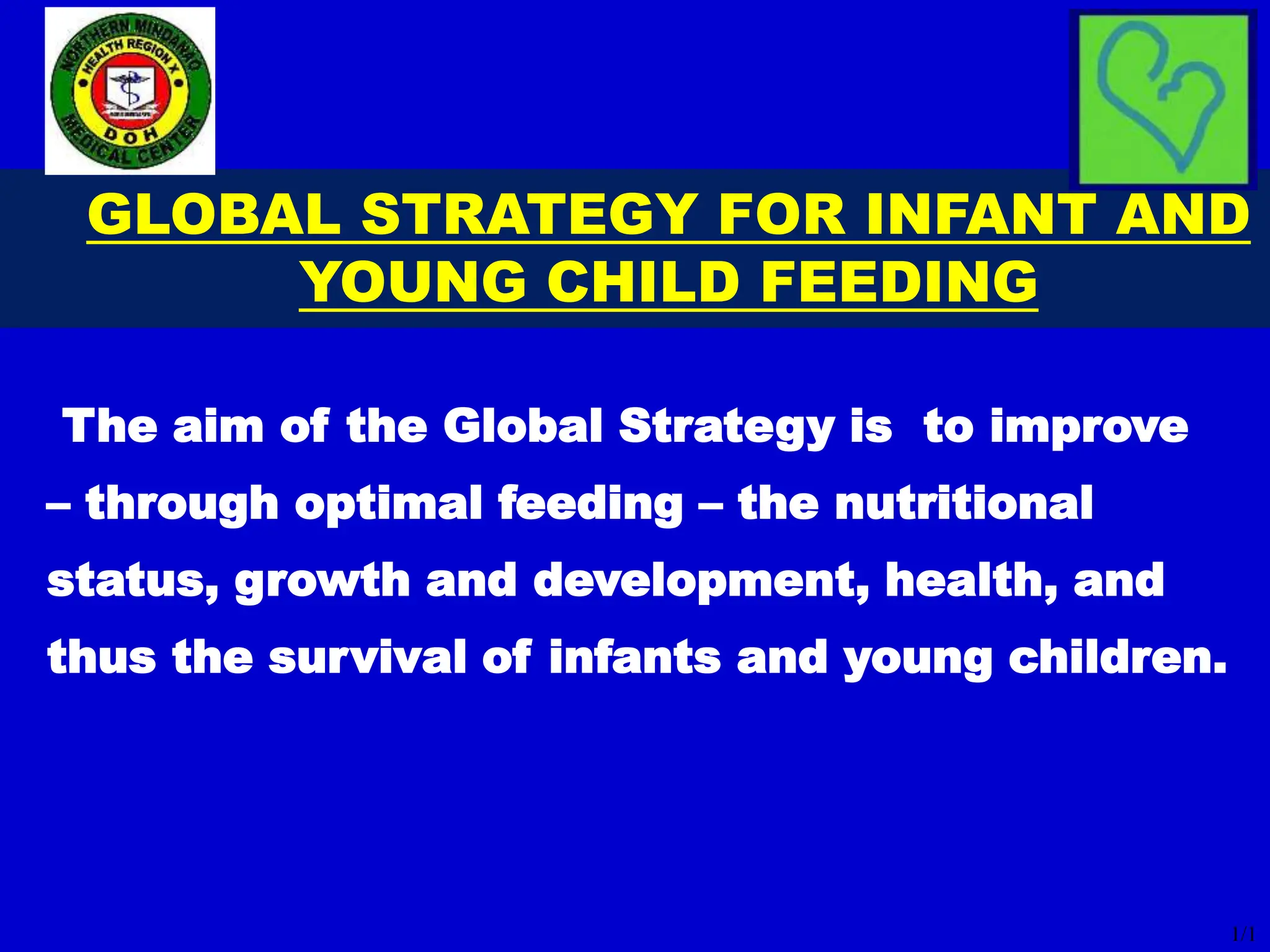 Session-1-MBFHI-A-part-of-the-Global-Strategy.ppt