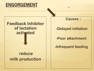 Session-12-Breast-and-Nipple-Conditions.ppt