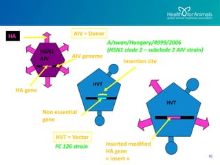 Livestock vaccines: Development and market access | PPT