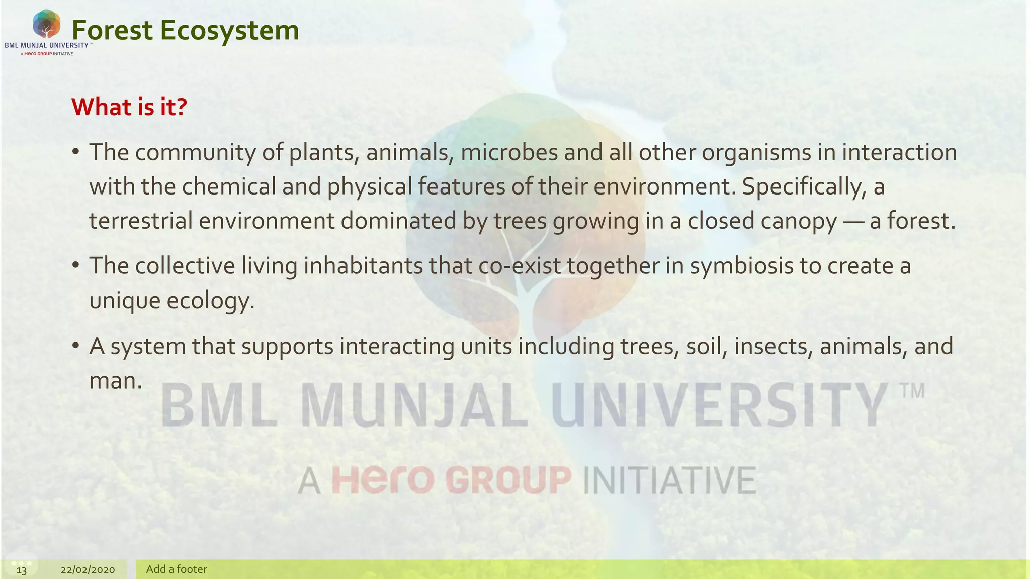 Session 13 - Forest Ecosystem-1 | PPT