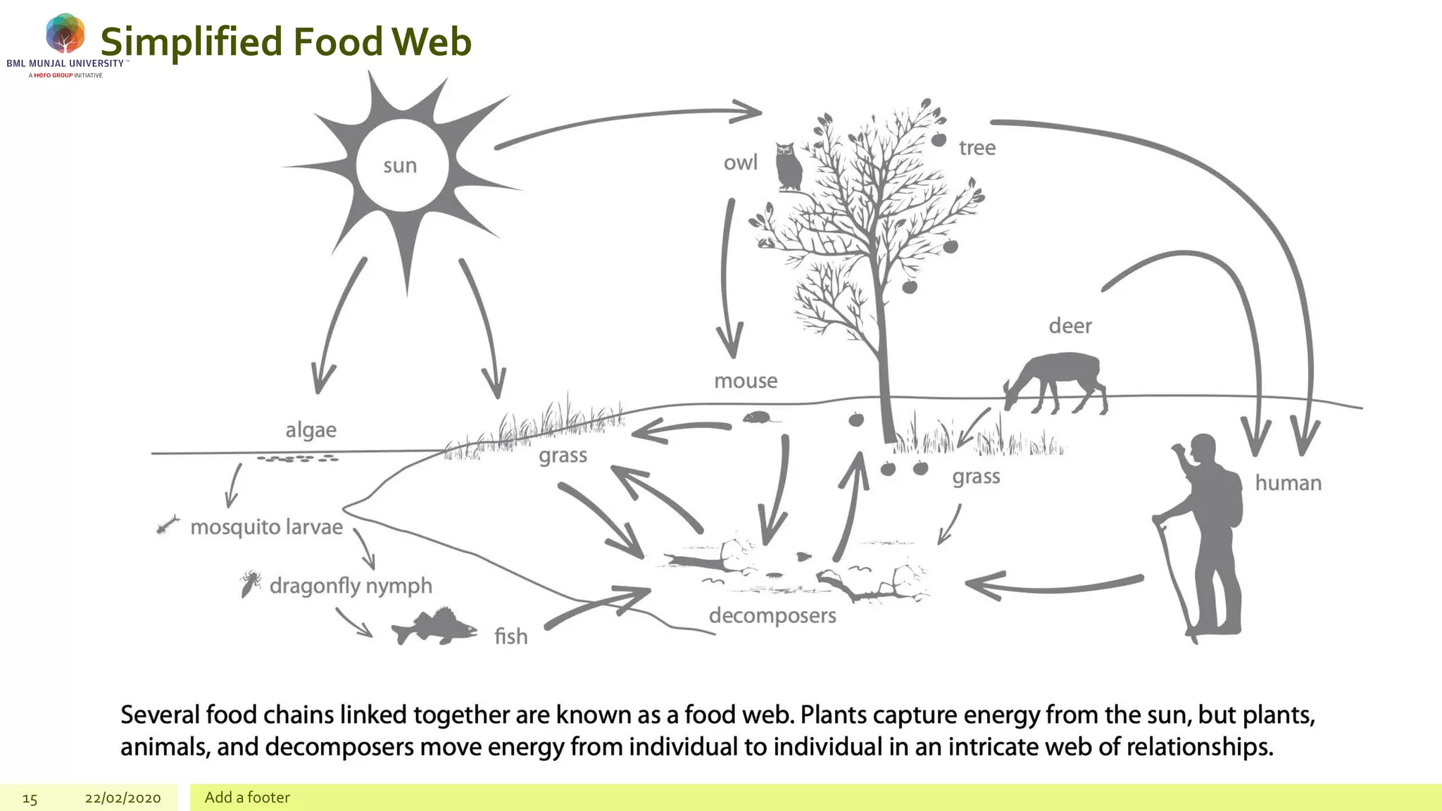 Session 13 - Forest Ecosystem-1 | PPT