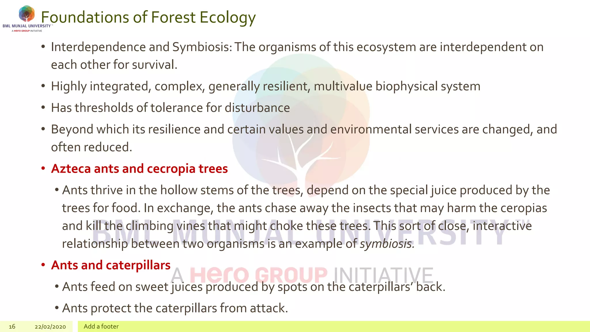 Session 13 - Forest Ecosystem-1 | PPT