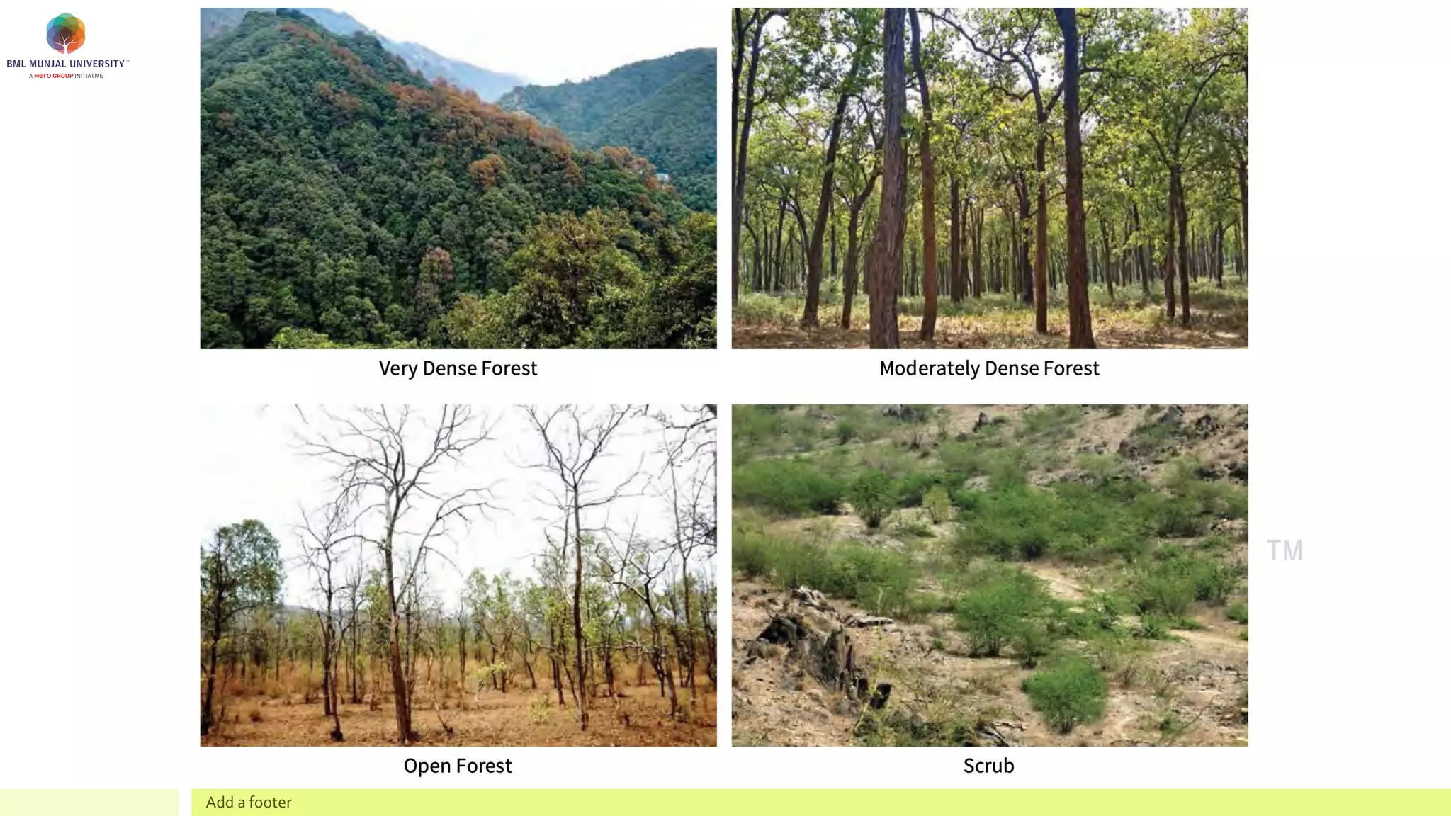 Session 13 - Forest Ecosystem-1 | PPT