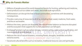 Session 13 - Forest Ecosystem-1 | PPT