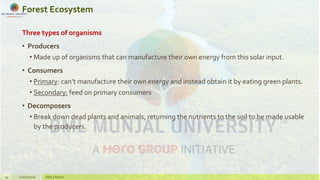 Session 13 - Forest Ecosystem-1 | PPT