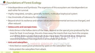 Session 13 - Forest Ecosystem-1 | PDF
