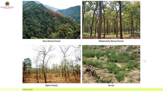 Session 13 - Forest Ecosystem-1 | PPT