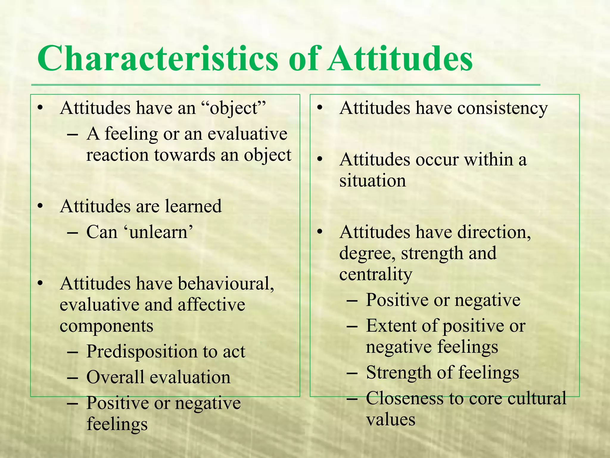 Consumer Attitudes and Beliefs | PPTX